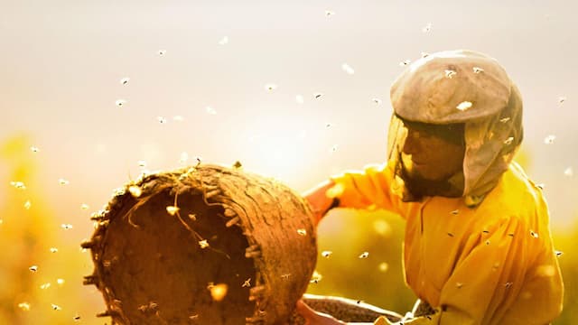 Watch Free Science & Nature TV Shows & Movies | Tubi