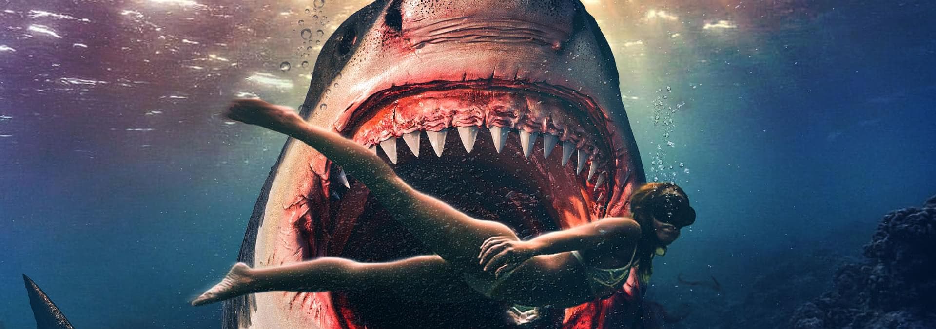 Watch Shark (1969) - Free Movies | Tubi