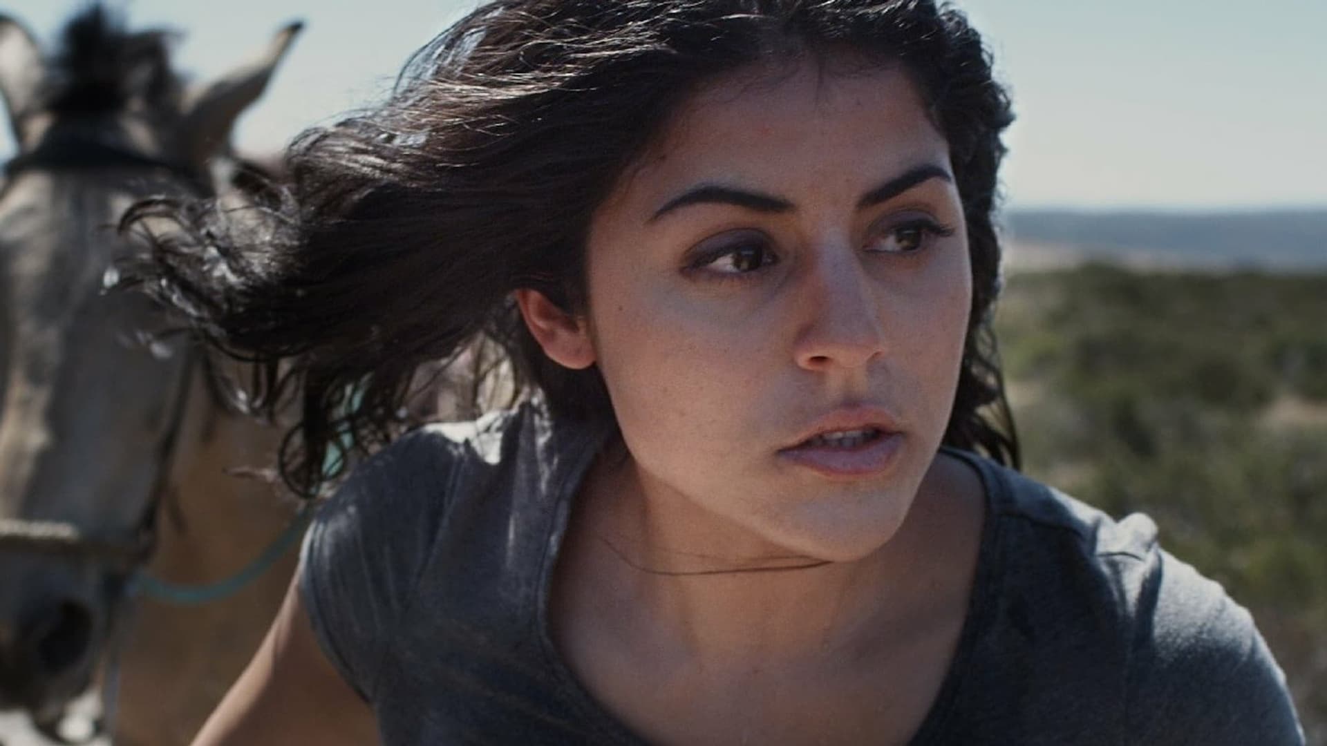 Watch Hostile Border (Doblado) (2015) - Free Movies | Tubi