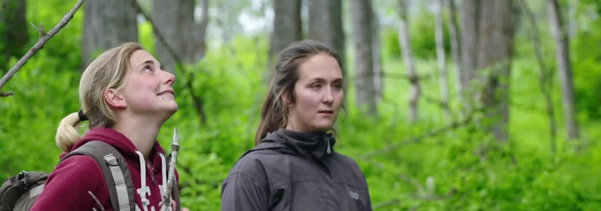 Watch Wild Bear Rescue S03:E05 - The Houdini Bear - Free TV Shows | Tubi