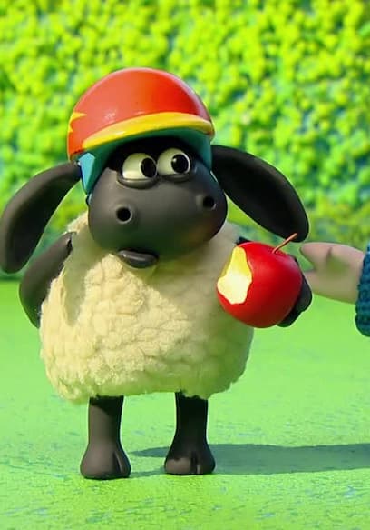 Watch Timmy Time S01:E09 - Episode 9 - Free TV Shows | Tubi