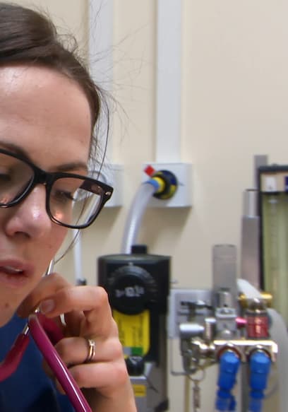 Watch Ultimate Vets S01:E06 - Hepsie, Poppy Punctured Eye and Sadie Ear ...