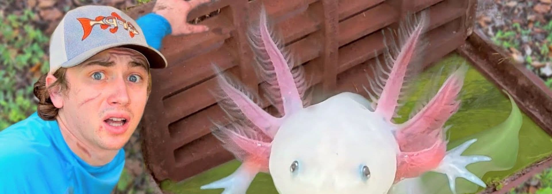 Watch Bass Fishing Productions S02:E08 - I Found Axolotls in a Sewer ...