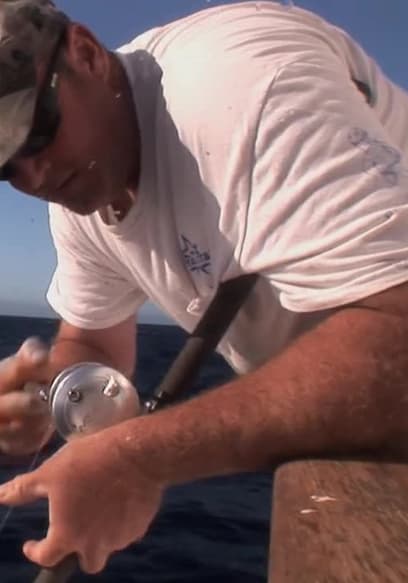 Watch Inside Sportfishing S01:E18 - Tuna Extravaganza! Guadalupe Island ...