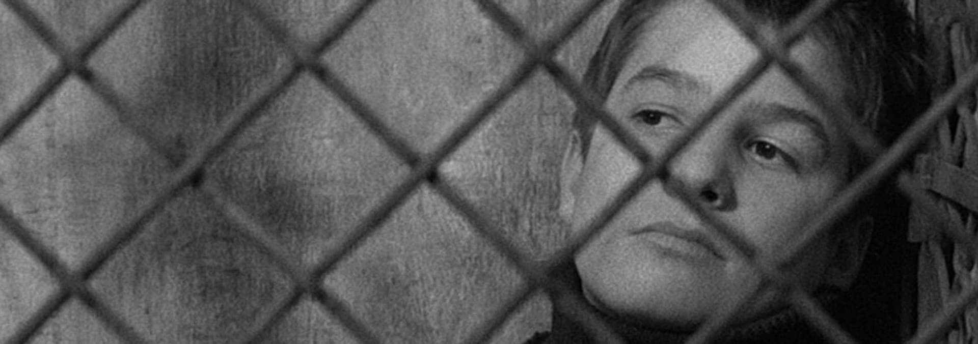 Watch The 400 Blows (1959) - Free Movies | Tubi