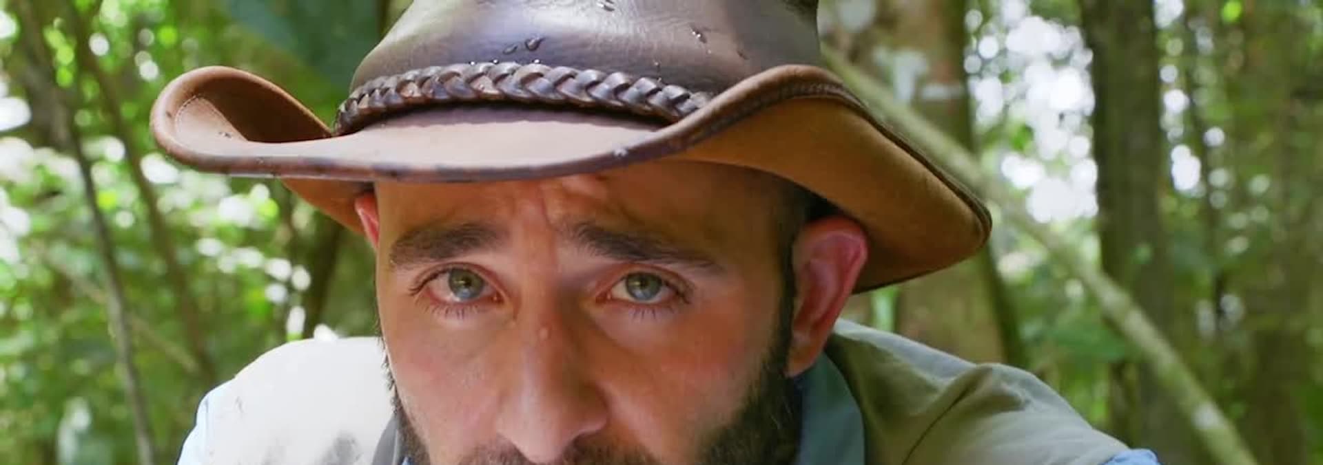 Watch Brave Wilderness S08:E14 - Stung by an Executioner Wasp - Free TV ...