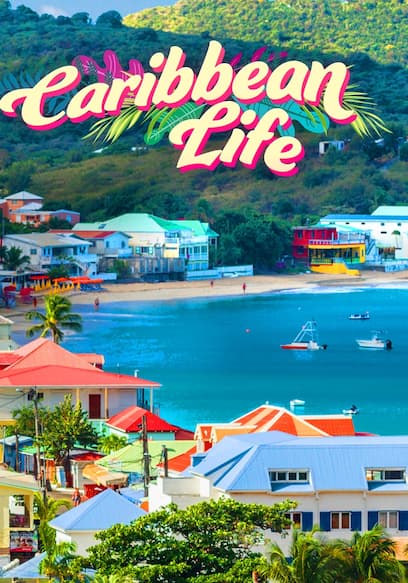 Watch Caribbean Life S16:E13 - Family Time in Puerto Rico - Free TV ...