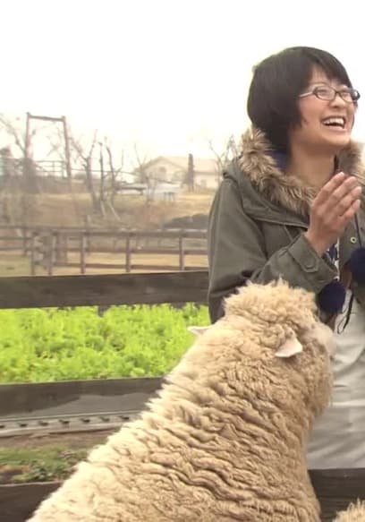 Watch Mei's Butler S01:E08 - Episode 8 - Free TV Shows | Tubi