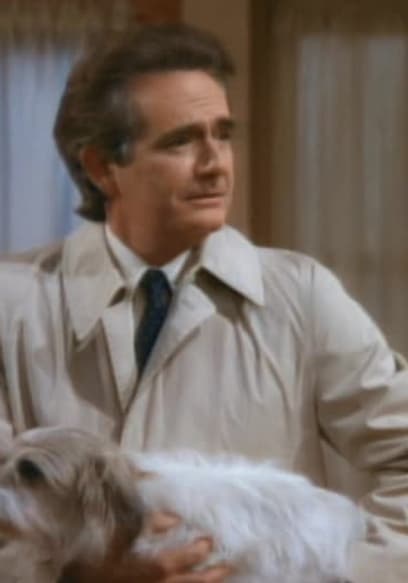 Watch Harry and the Hendersons S01:E08 - Harry, the Hero - Free TV ...