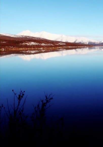 Watch Jim Shockey's Hunting Adventures S11:E16 - Exploring New Country ...