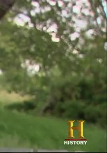 Watch MonsterQuest S02:E15 - Giant Bear Attack - Free TV Shows | Tubi