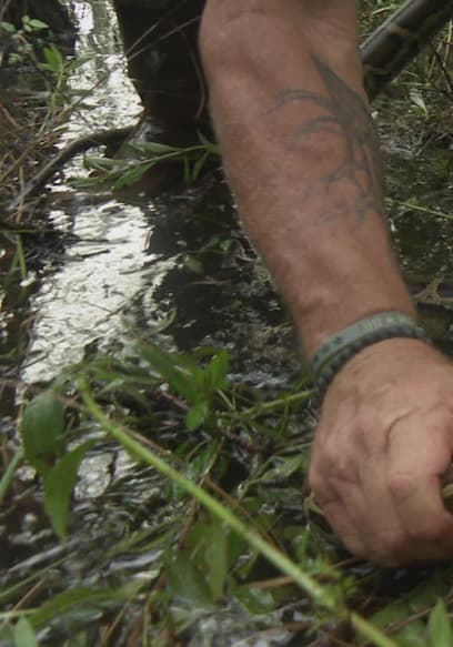 Watch Swamp People: Serpent Invasion S02:E06 - Python Gamble - Free TV ...