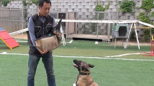 Watch The Life of a Master S07:E18 - Episode 18 - Free TV Shows | Tubi