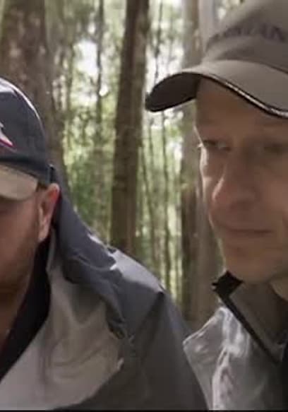 Watch MonsterQuest S03:E21 - Terror From the Sky - Free TV Shows | Tubi