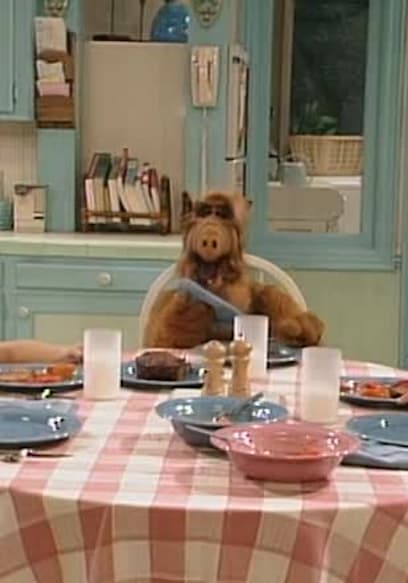 Watch ALF S02:E02 - Somewhere Over the Rerun - Free TV Shows | Tubi