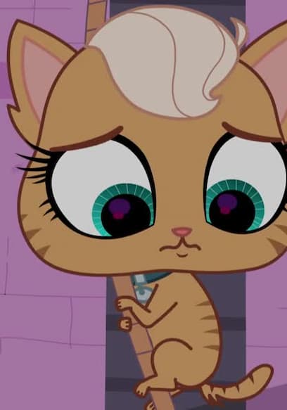 Watch Littlest Pet Shop S03:E17 - Room Enough - Free TV Shows | Tubi