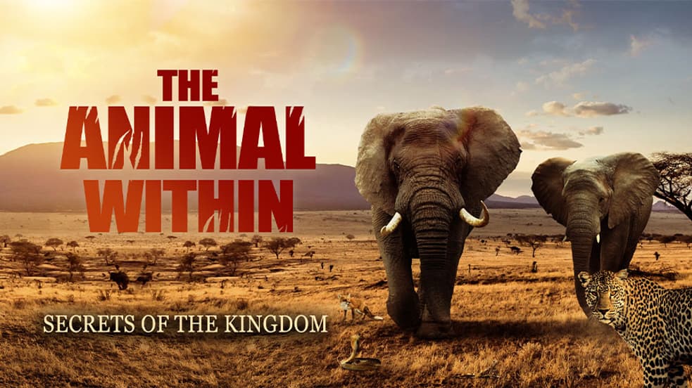 Watch The Animal Within - Free TV Shows | Tubi