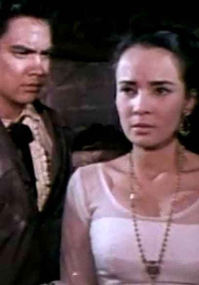 Watch Terror Vision S01:E03 - Blood of the Vampires - Free TV Shows | Tubi