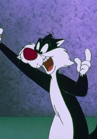 Watch The Sylvester & Tweety Mysteries S05:E05 - The Tail End?/This Is ...