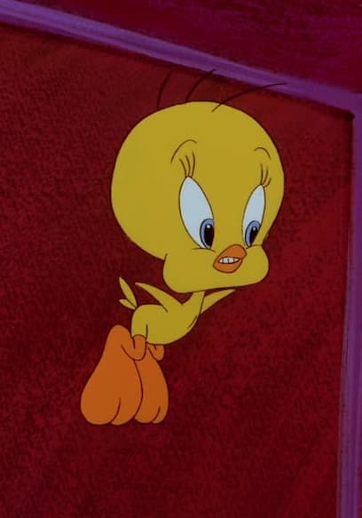 Watch The Sylvester & Tweety Mysteries S04:E05 - Casino Evil/Happy Bath ...