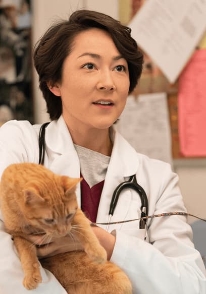 Watch Strays S01:E03 - New Neighbours - Free TV Shows | Tubi