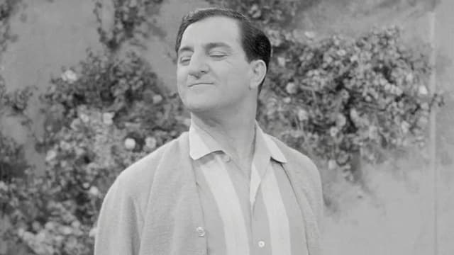 Watch The Danny Thomas Show S11:E14 - Peaceful Co-Existence - Free TV ...