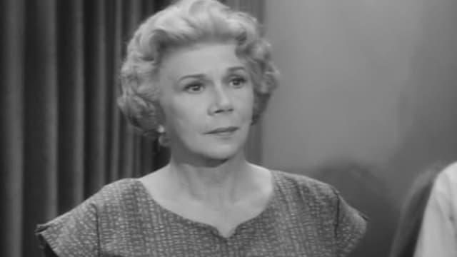 Watch Petticoat Junction S01:E13 - A Night at the Hooterville Hilton ...