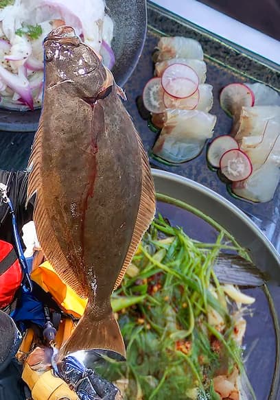 Watch Outdoor Chef Life S01:E06 - The Ultimate Halibut Catch and Cook ...