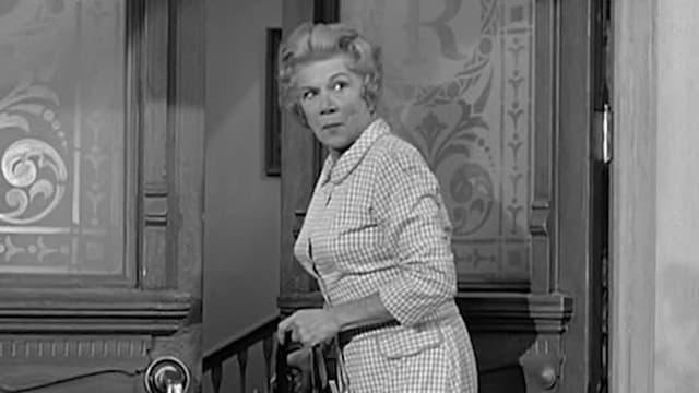 Watch Petticoat Junction S01:E20 - Last Chance Farm - Free TV Shows | Tubi