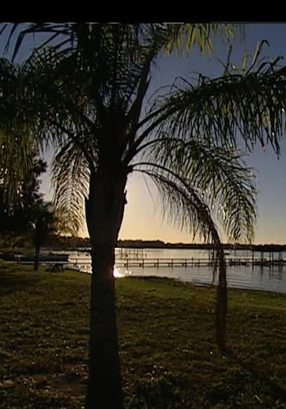 Watch City Confidential S05:E12 - Sebring: Social Insecurity - Free TV Shows | Tubi