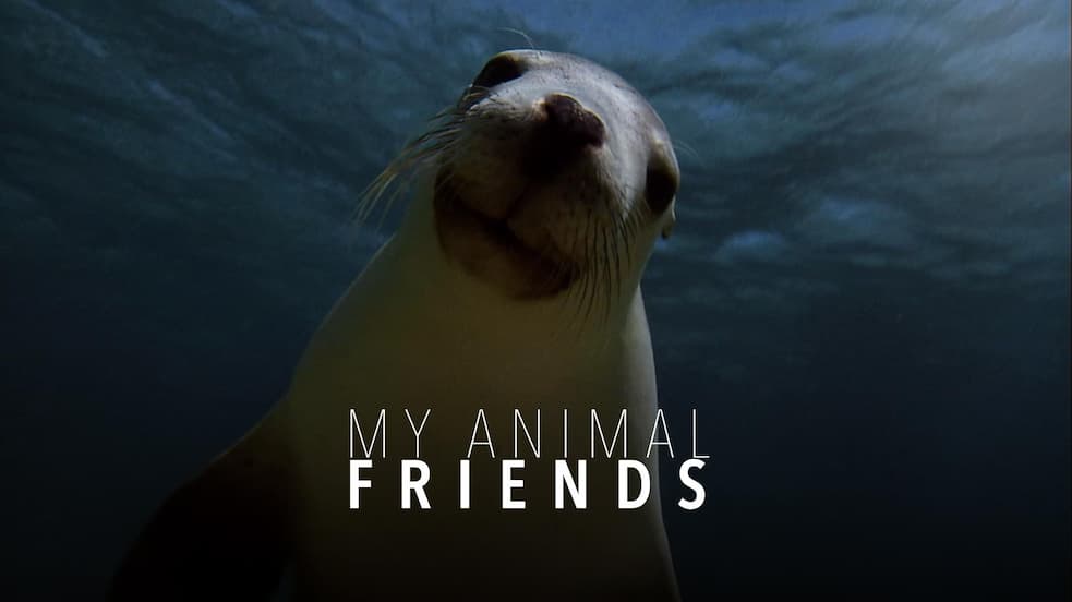 Watch My Animal Friends Stream en ligne | Tubi TV Gratuit
