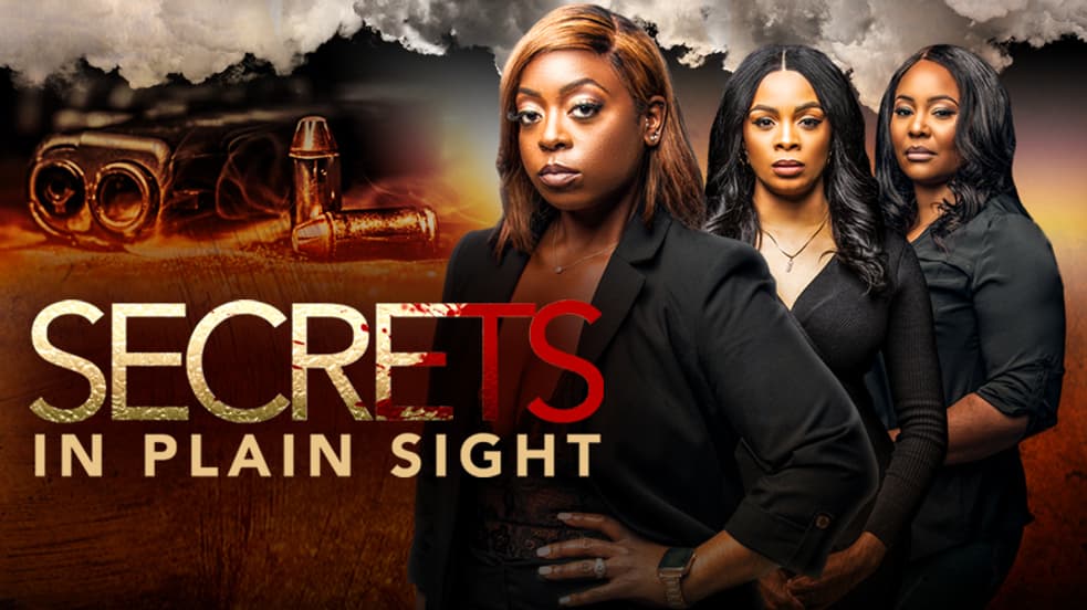 Watch Secrets in Plain Sight Streaming Online | Tubi Free TV