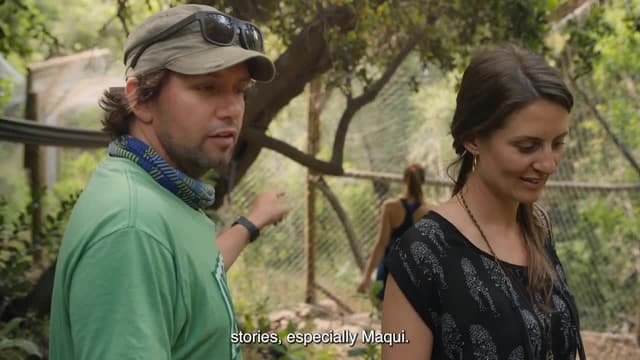 Watch Chile: A Wild Journey - Free TV Shows | Tubi