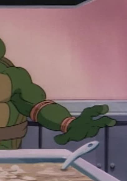 Watch Teenage Mutant Ninja Turtles S02:E06 - The Case of the Killer ...