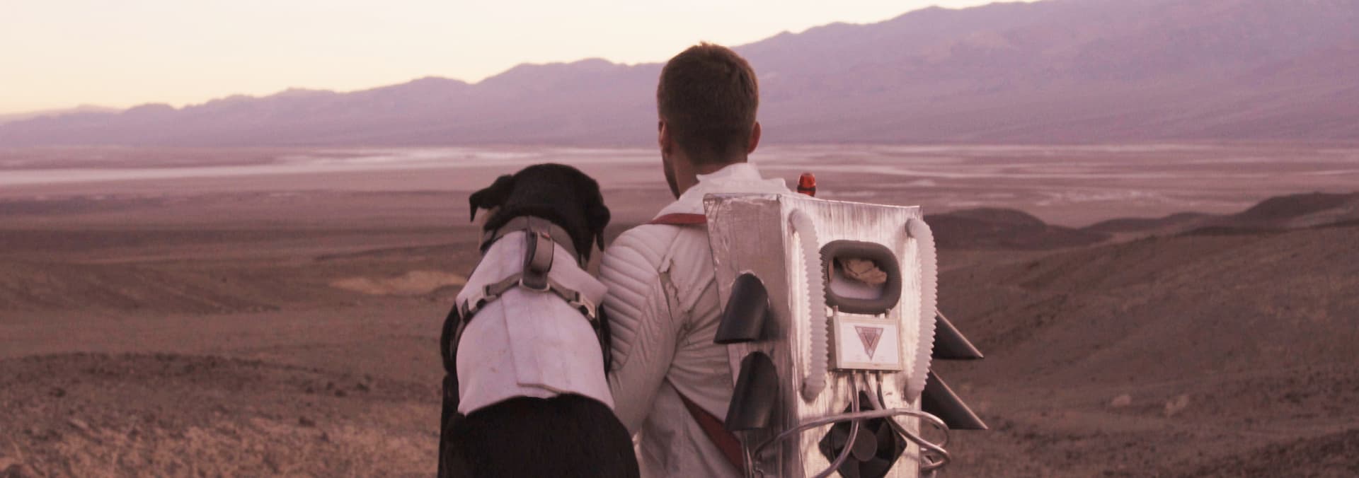 Watch Ellipse (2019) - Free Movies | Tubi