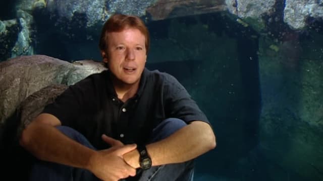 Watch Extinct S01:E02 - Sabretoothed Cat - Free TV Shows | Tubi