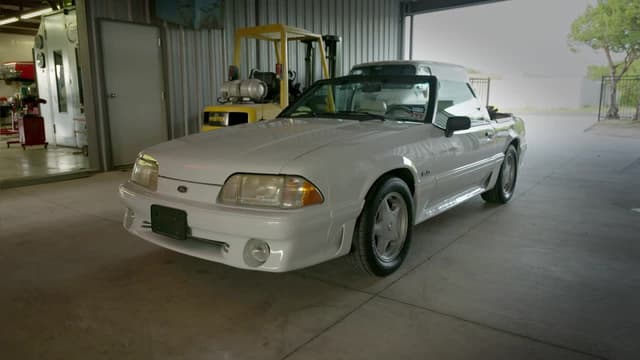 Watch Shorty's Dream Shop Streaming Online | Tubi Free TV