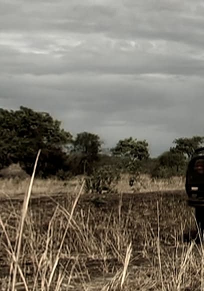 Watch Jim Shockey's Hunting Adventures S09:E20 - Cap Buff Lion - Free ...