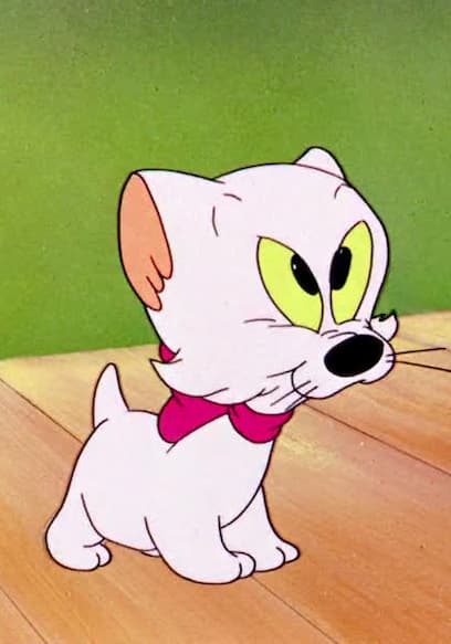 Watch Looney Tunes S06:E17 - Operation: Rabbit / Kiddin' the Kitten ...