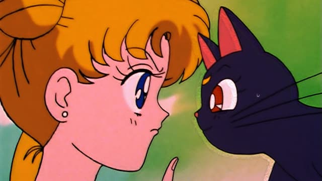 Watch Sailor Moon S01:E40 - The Legendary Lake Yokai: the Bond of Usagi ...