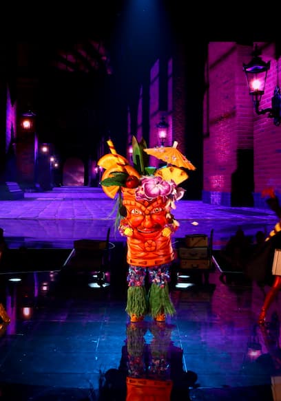 Watch The Masked Singer S10:E06 - Harry Potter Night - Free TV Shows | Tubi