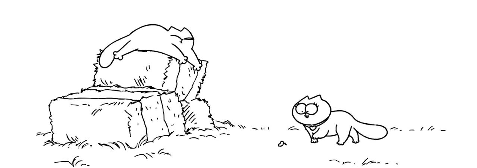 Watch Simon's Cat S01:E36 - Smitten - Free TV Shows | Tubi