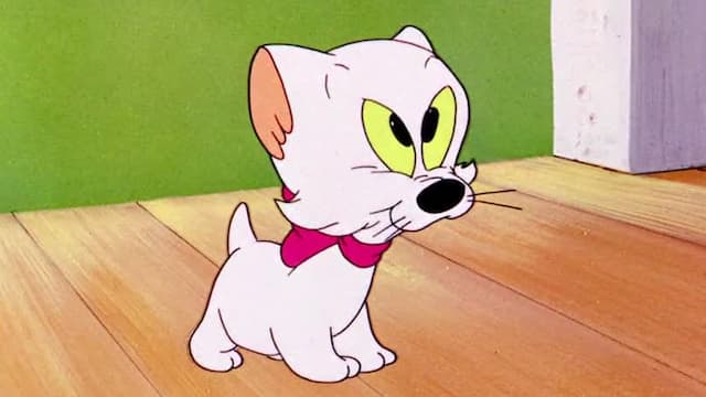 Watch Looney Tunes S06:E17 - Operation: Rabbit / Kiddin' the Kitten ...