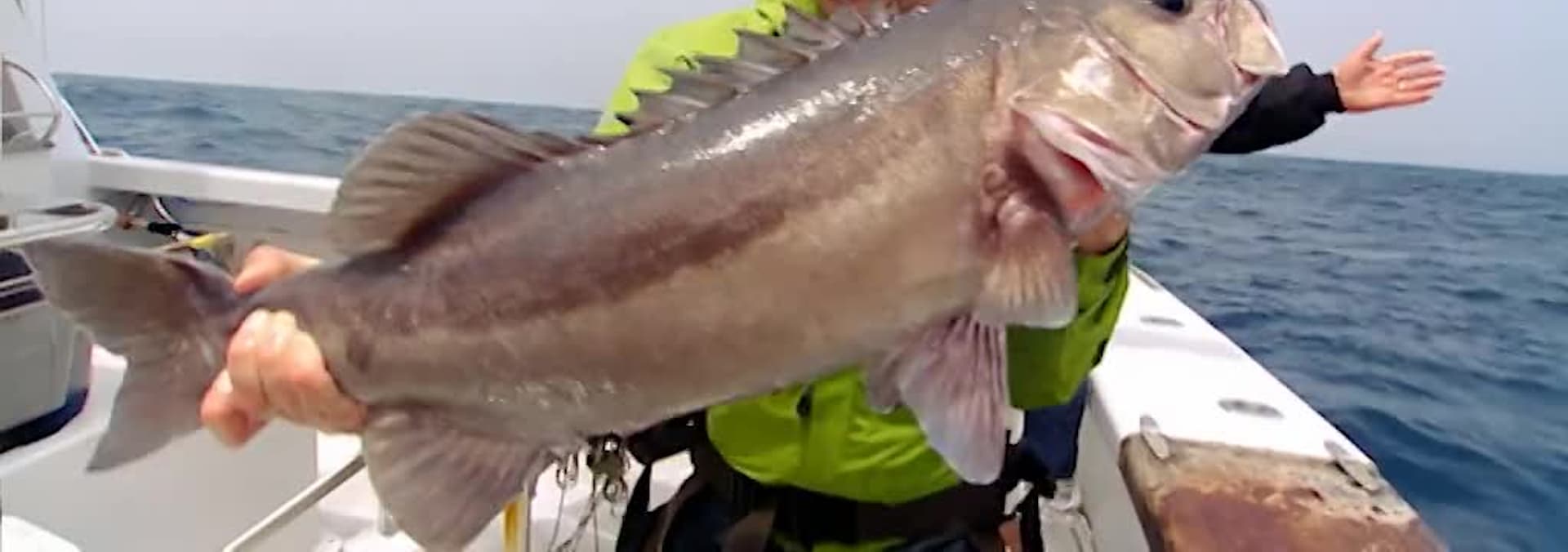 Watch Extreme Fishing S02:E03 - Episode 3 - Free TV Shows | Tubi