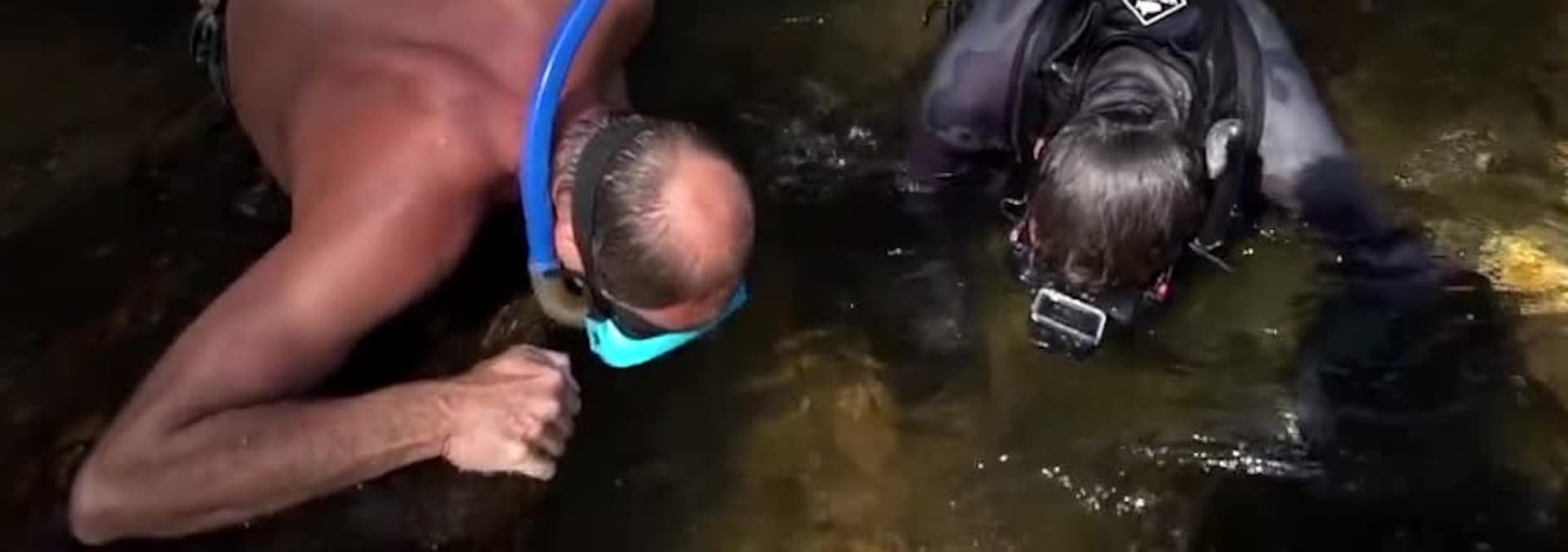 Watch Scuba Jake S02:E07 - Prized Possessions - Free TV Shows | Tubi