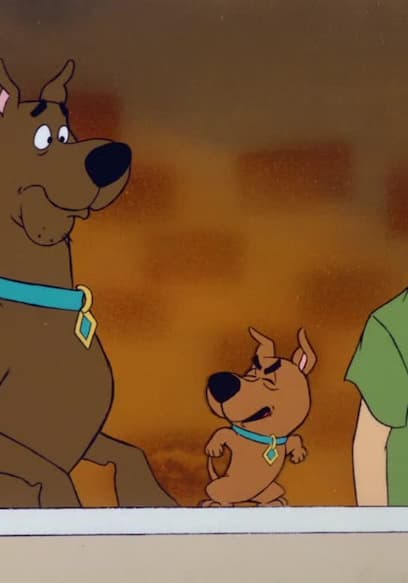 Watch Scooby-Doo and Scrappy-Doo S03:E07 - Pigskin Scooby / Scooby and the Beanstalk / Tender ...