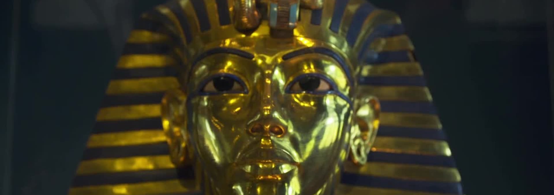 Watch Mysteries at the Museum S13:E08 - King Tut - Free TV Shows | Tubi