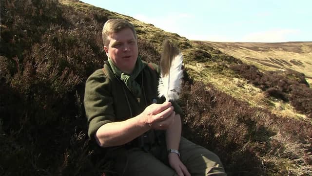Watch Wild Britain With Ray Mears S02:E07 - The Flow Country: Caithness ...