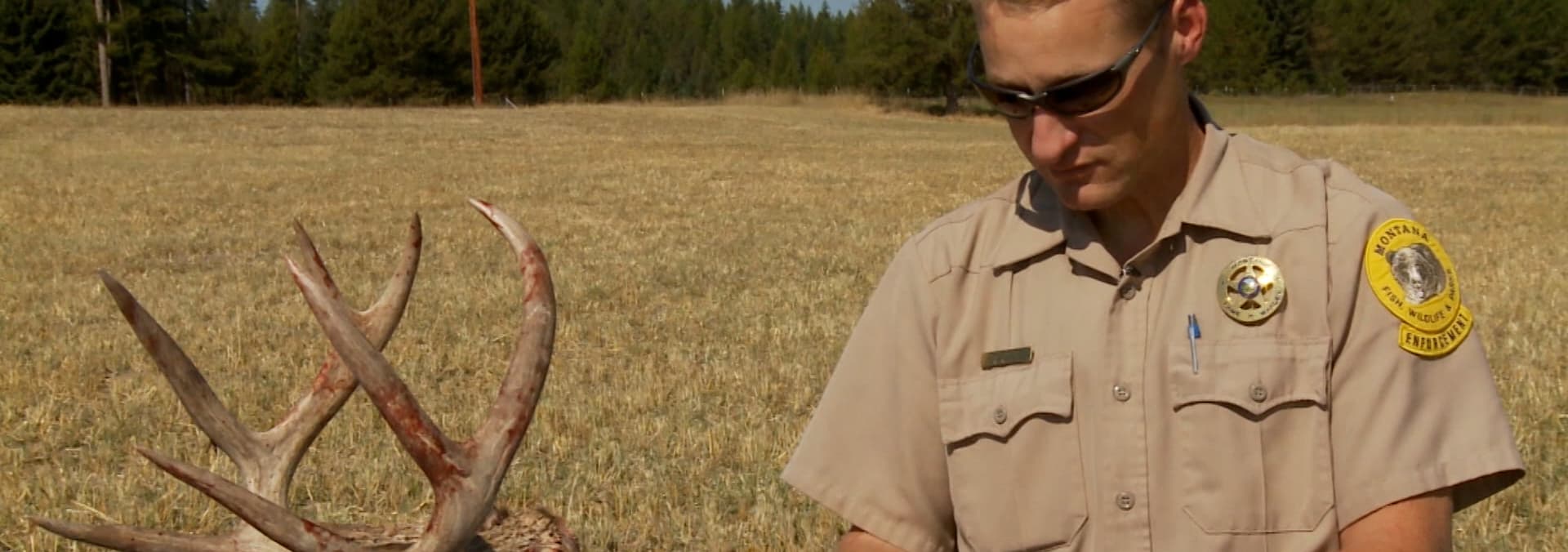 Watch Wardens S03:E11 - Whitefish - Free TV Shows | Tubi