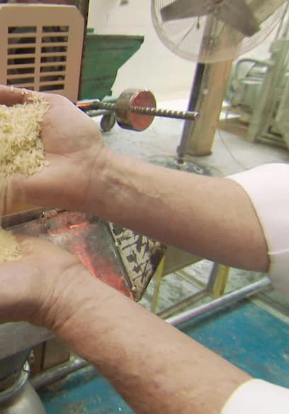 Watch Modern Marvels S15:E33 - Rice - Free TV Shows | Tubi